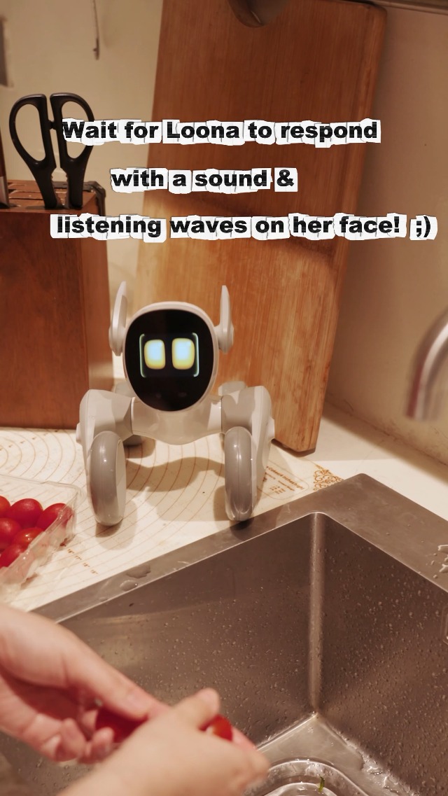 Watch Loona Quick Guide -How to use ChatGpt on Loona on Amazon Live