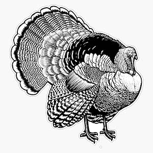 Amazon.com: Turkey Sticker Bumper Sticker Vinyl Decal 5" : Automotive