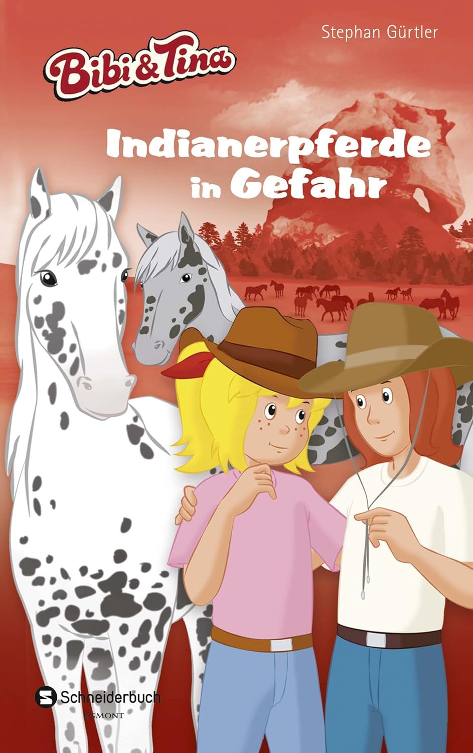 Amazon.com: Bibi & Tina - Indianerpferde in Gefahr: 9783505133930 ...