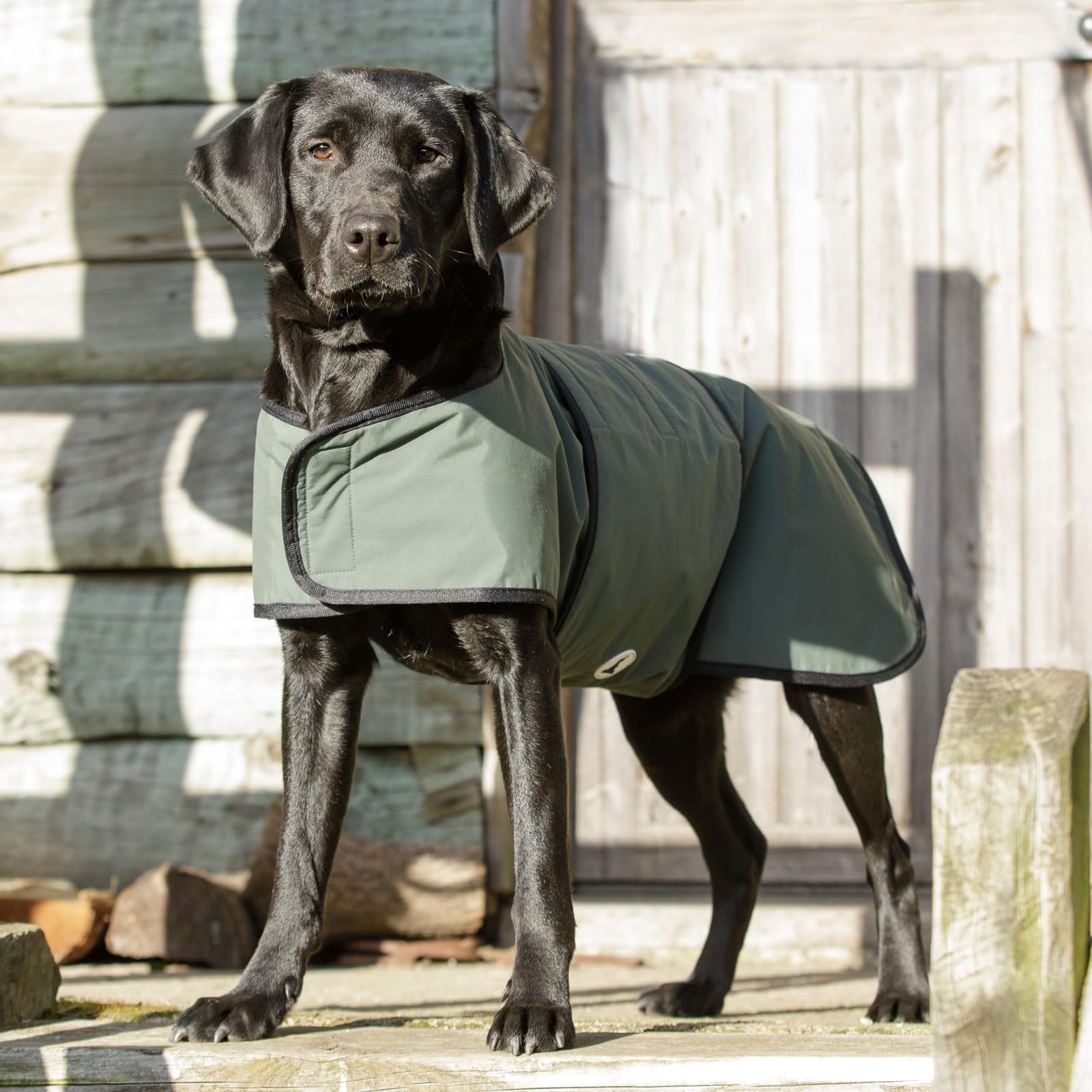 Dog & Field 2 in 1 Fully Waterproof Dog Coat - Microfiber Lined Drying ...