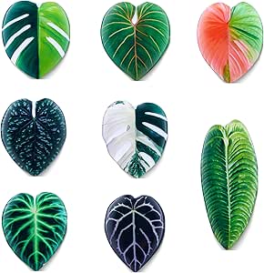 Amazon.com: Decorative Leaf Shaped Magnets for Home, Set of 8, Living ...