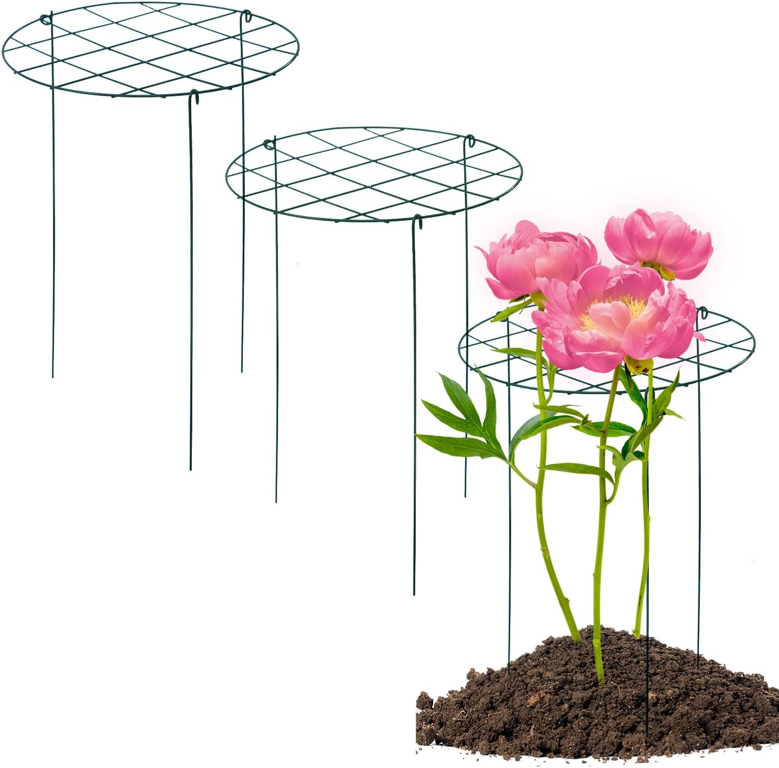 Amazon.com : GOOOXIM Large Peony Cages and Supports 18.9"x23.6 ...