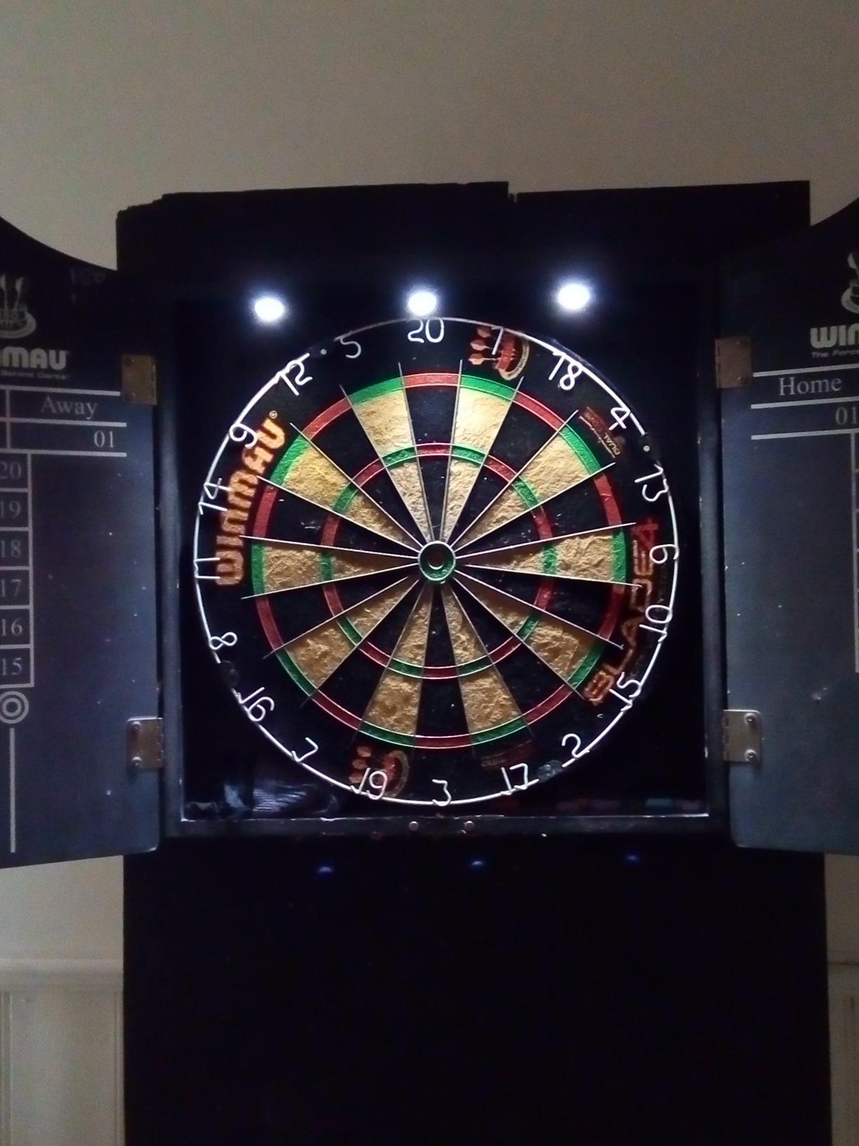 Viper Shadow Buster Dartboard Cabinet Mounted Display Light : Amazon ...