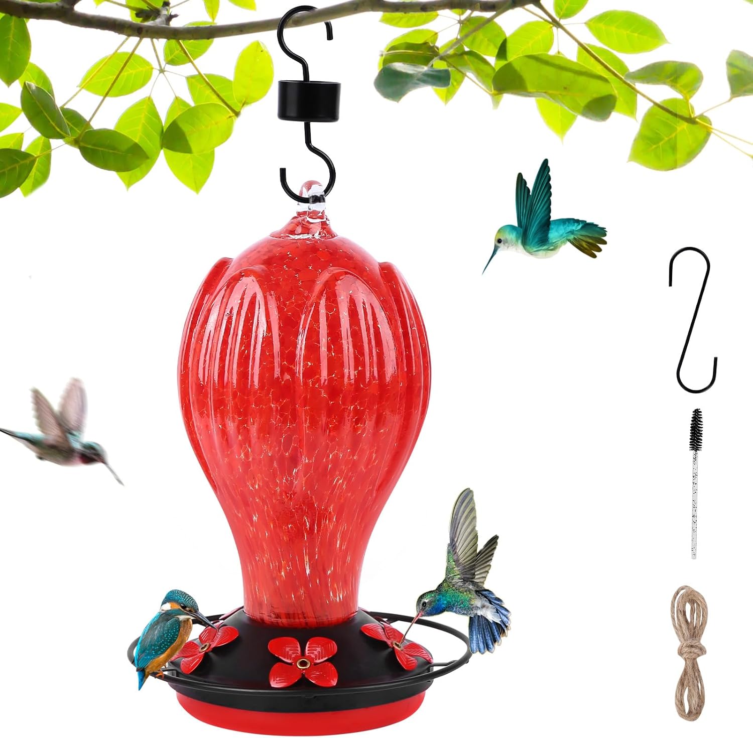 Amazon.com : Glass Hummingbird Feeder, 30 Ounces Hand Blown Glass ...