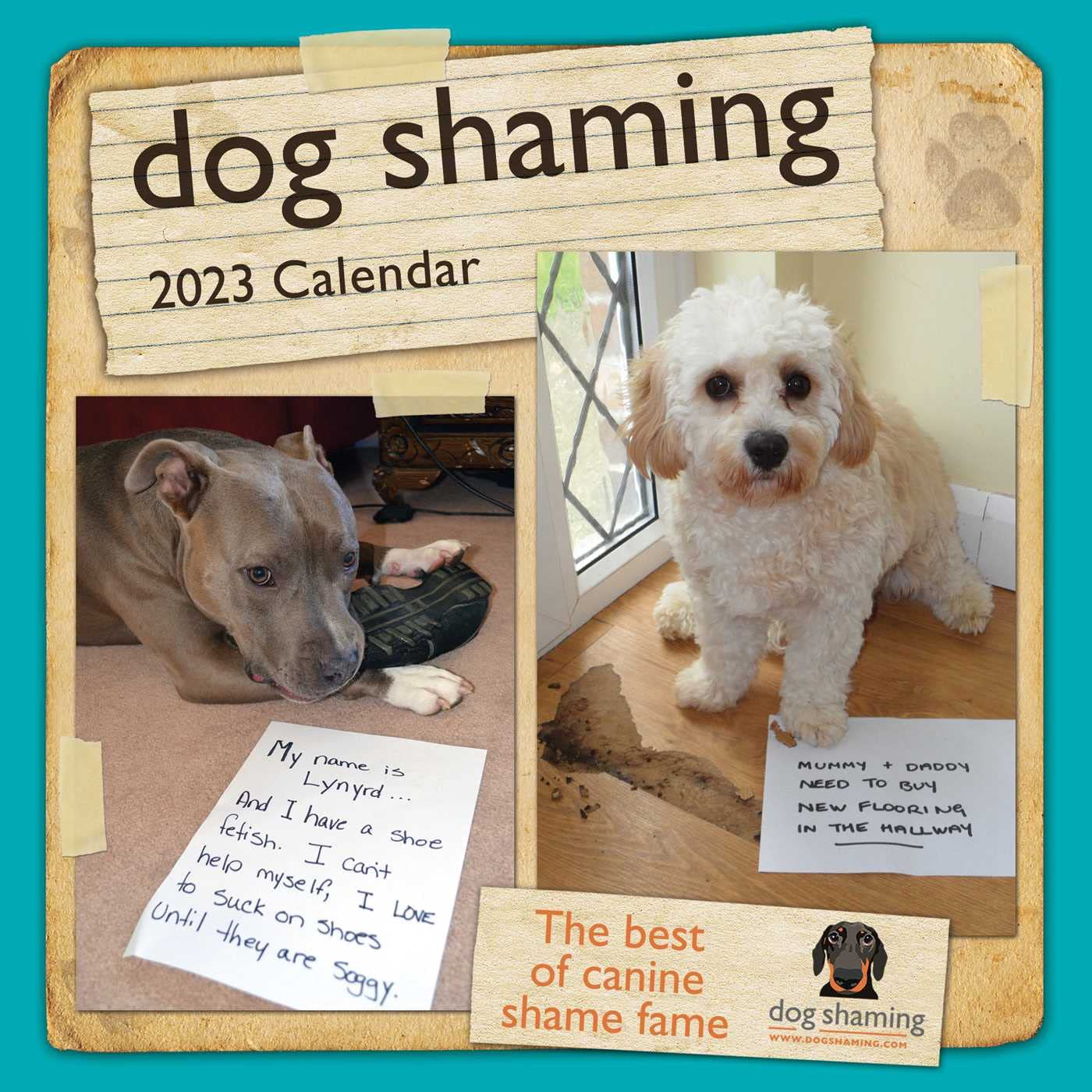 Dog Shaming 2023 Mini Wall Calendar: Lemire, Pascale, dogshaming.com ...