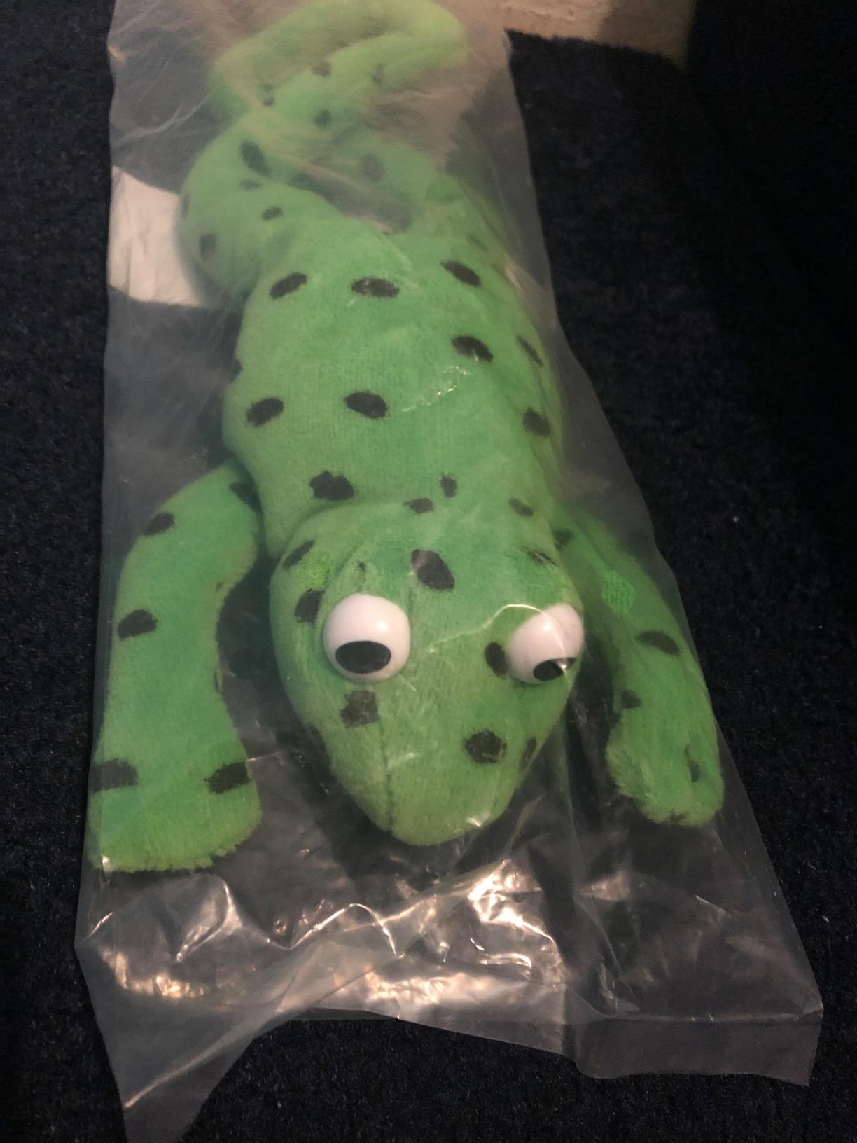 Read Write Inc.: Fred the Frog - Toy (READ WRITE INC PHONICS) : Miskin ...