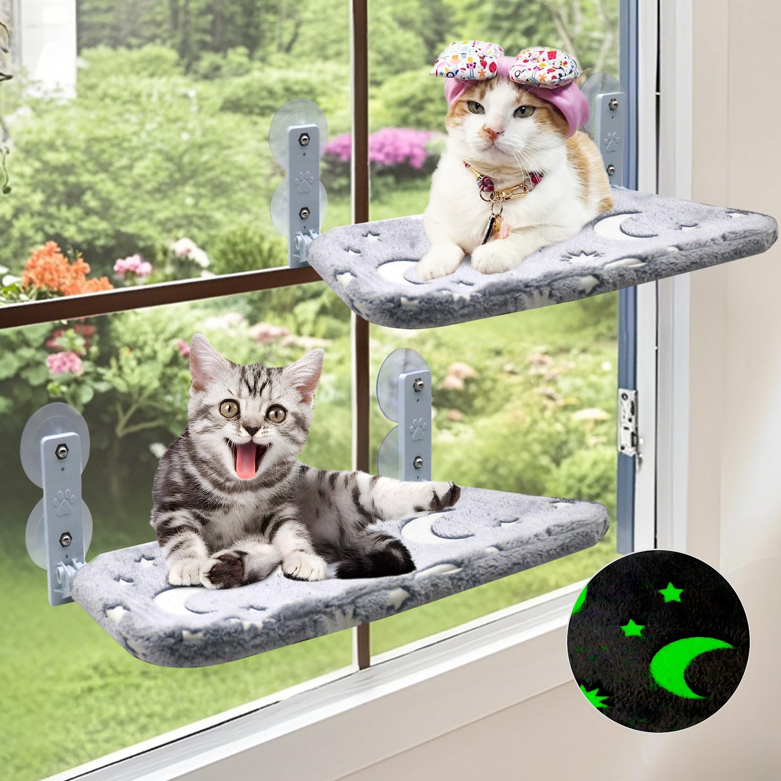 Amazon.com : Cat Window Perch, Double Layers Cat Hammock with 6 Stable ...
