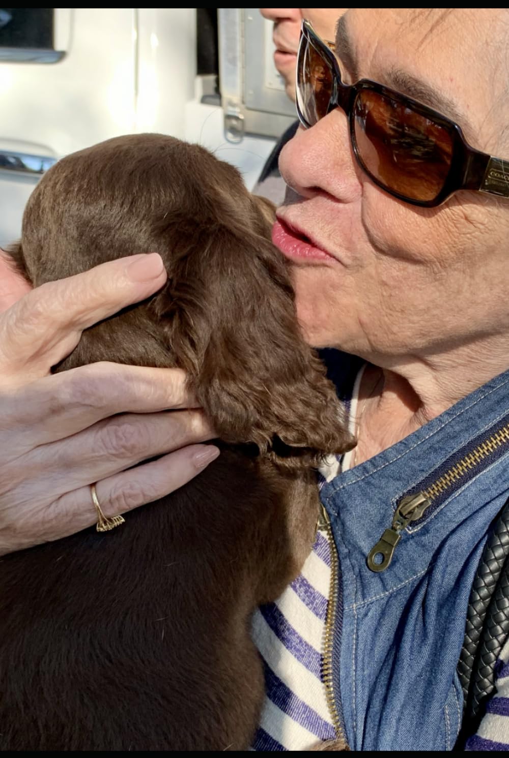 Amazon.com: Run Maggie run: A Story of Rescue and Redemption ...