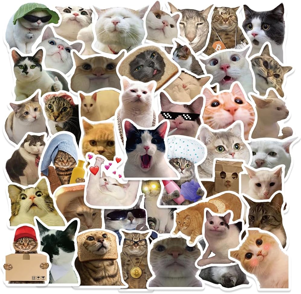 Amazon.com: 100pcs Kawaii Cat Meme Aesthetic Stickers Funny Cat ...