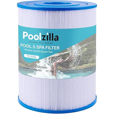 Amazon.com: Replacement Filter Cartridge for Watkins Hot Spring, Hot ...