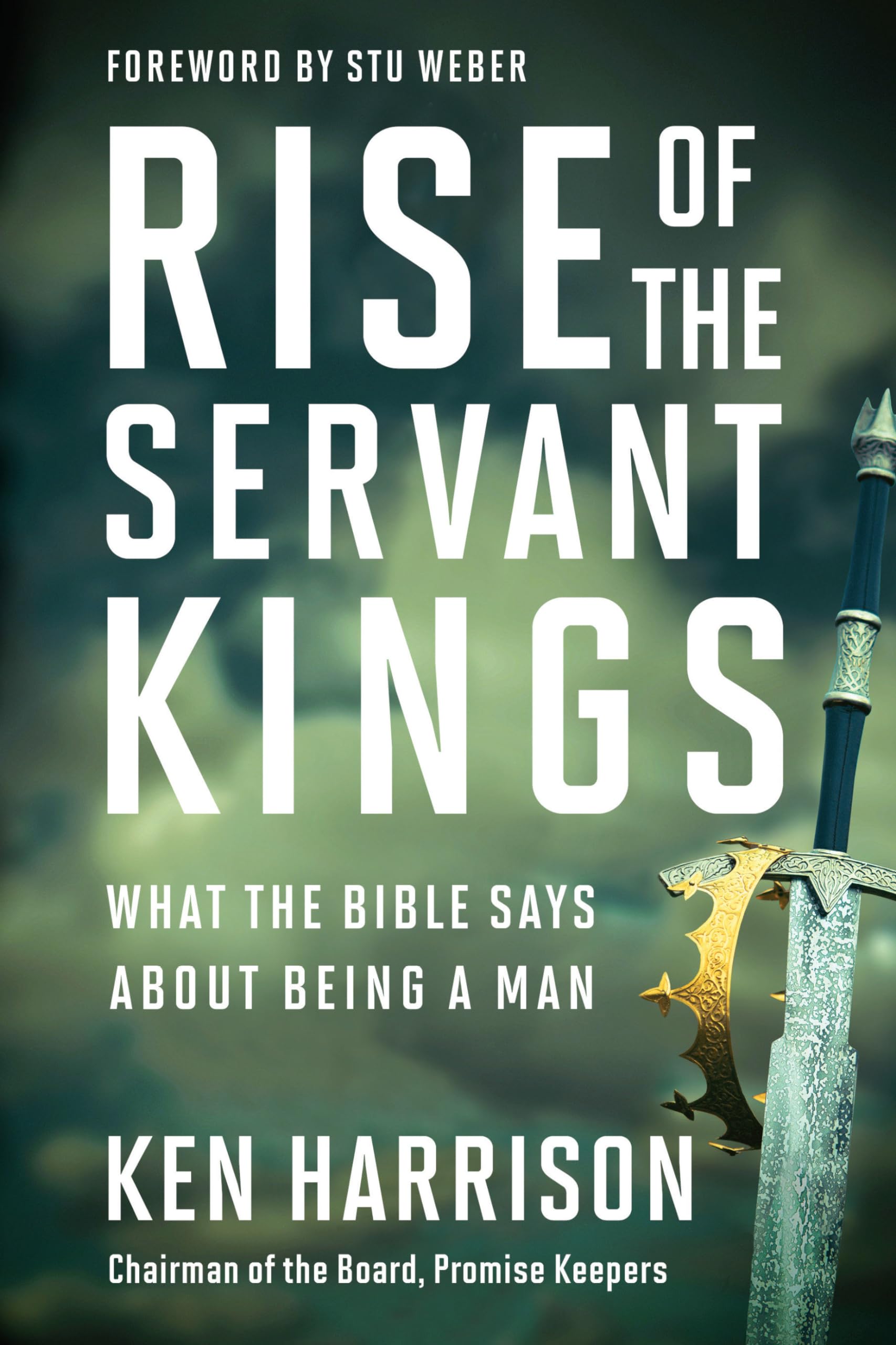 Rise of the Servant Kings: What the Bible Says About Being a Man ...