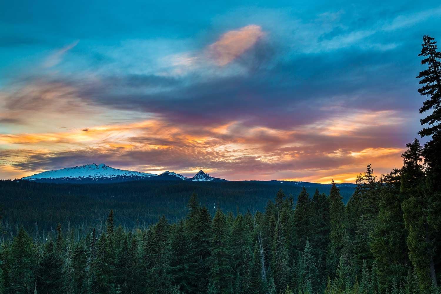 Sim, puzle de madera de tilo prémium hecho a mano con pegamento, regalo ...