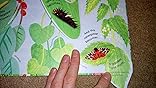 RHS How Does a Butterfly Grow?: D.K. Publishing: 9780241355466: Amazon ...