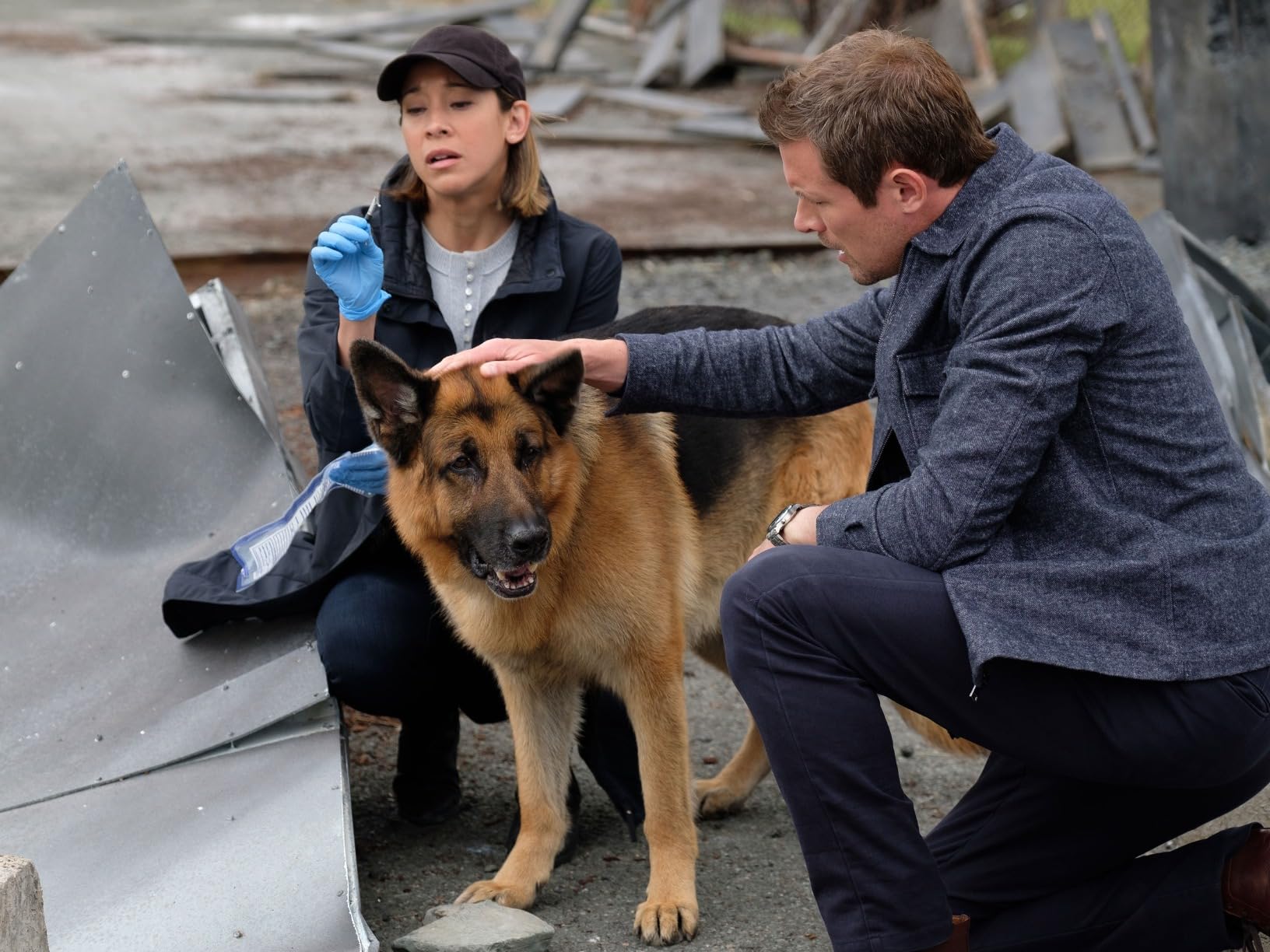 Hudson & Rex: Season 1-5 [DVD]: Amazon.fr: Cassidy Barry, Mayko Nguyen ...