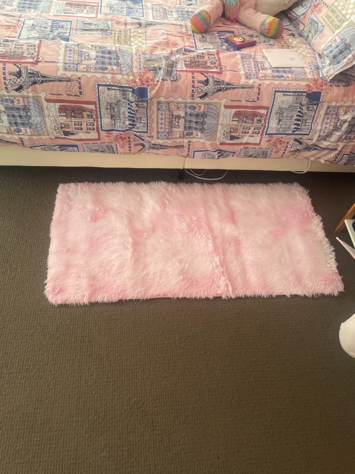 Fluffy Rug, Washable Rug, Extra Thick 3.0 cm, Rectangular Rug mat ...