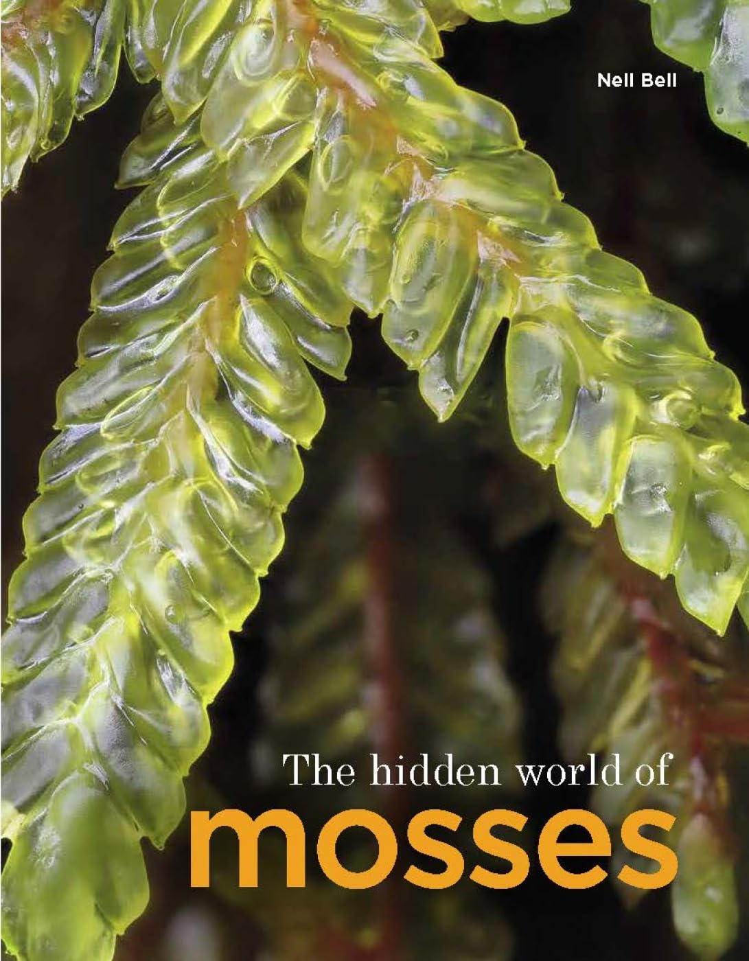 The Hidden World of Mosses: Bell, Neil: 9781910877456: Amazon.com: Books