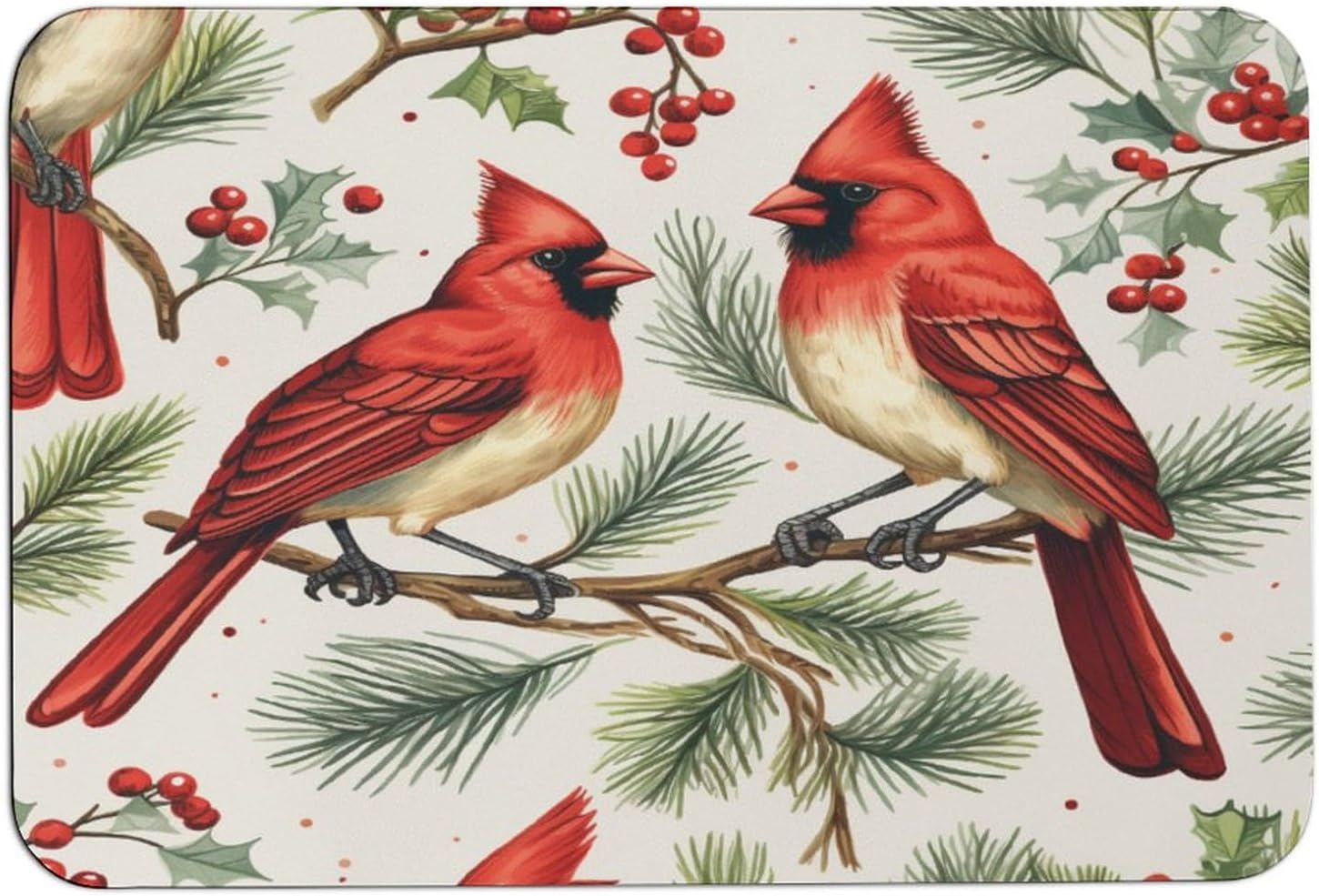 Amazon.com: Thin Diatomaceous Earth Bath Mat Christmas Winter Cardinal ...