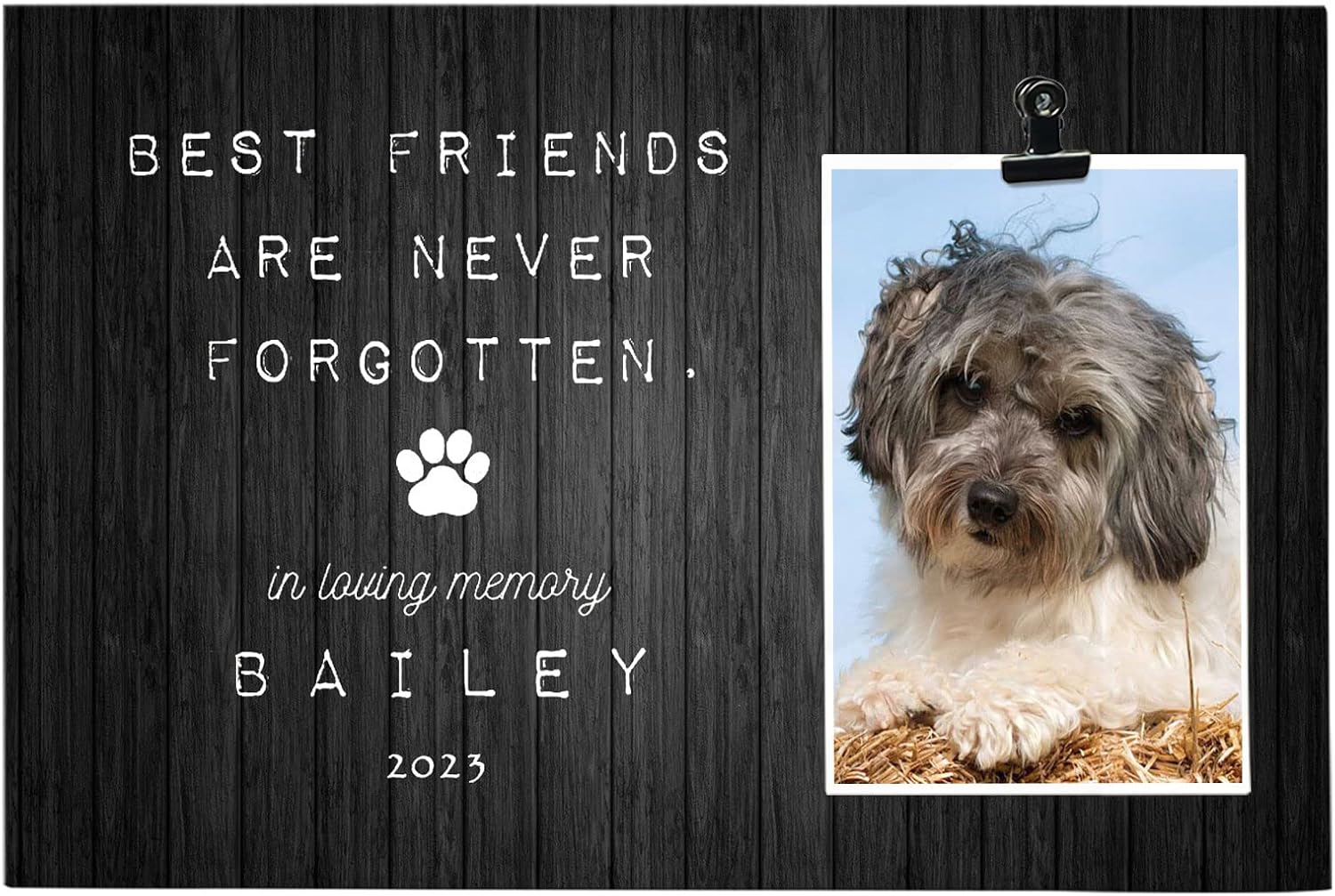 Amazon.com: Best friends are never forgotten, In loving memory Lowchen ...