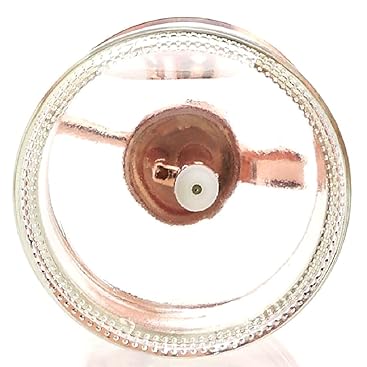 Purism Style Plant Mister - Clear Glass Bottle & Brass Sprayer (Rose ...