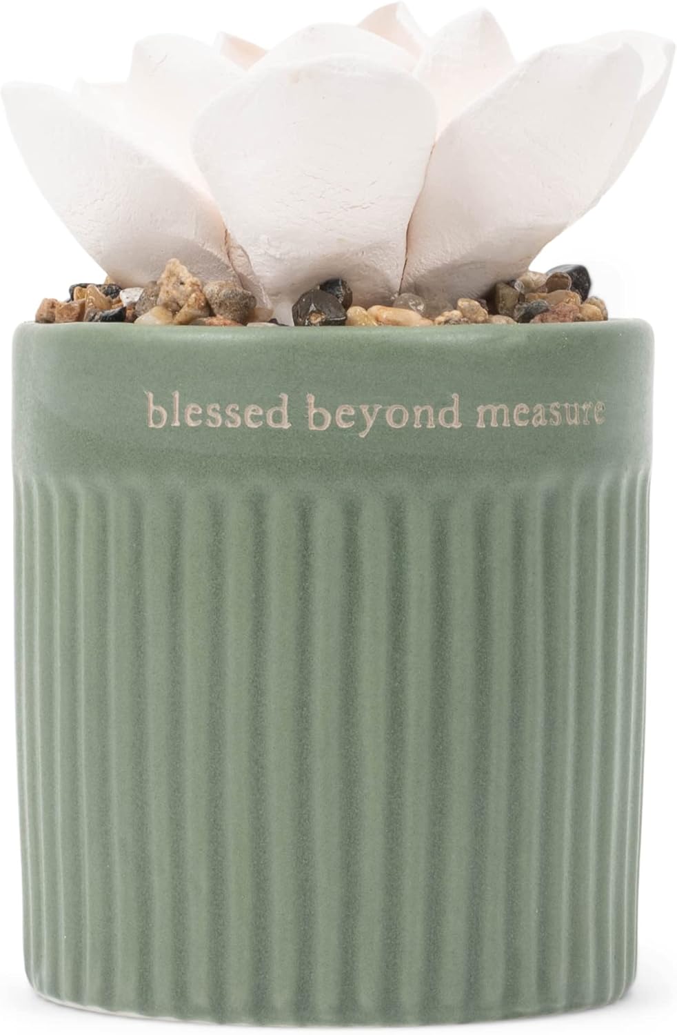Amazon.com: Demdaco Blessed Beyond Measure Soft Green Succulent 3 x 5 ...