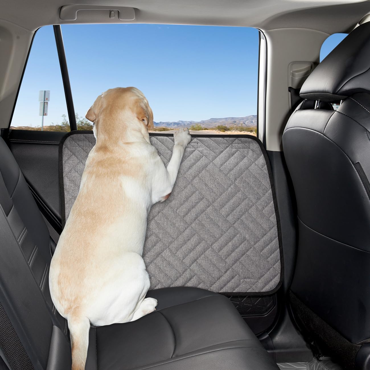 Amazon.com : ABE Car Door Protector for Dogs,2 PCS Pet Car Door ...