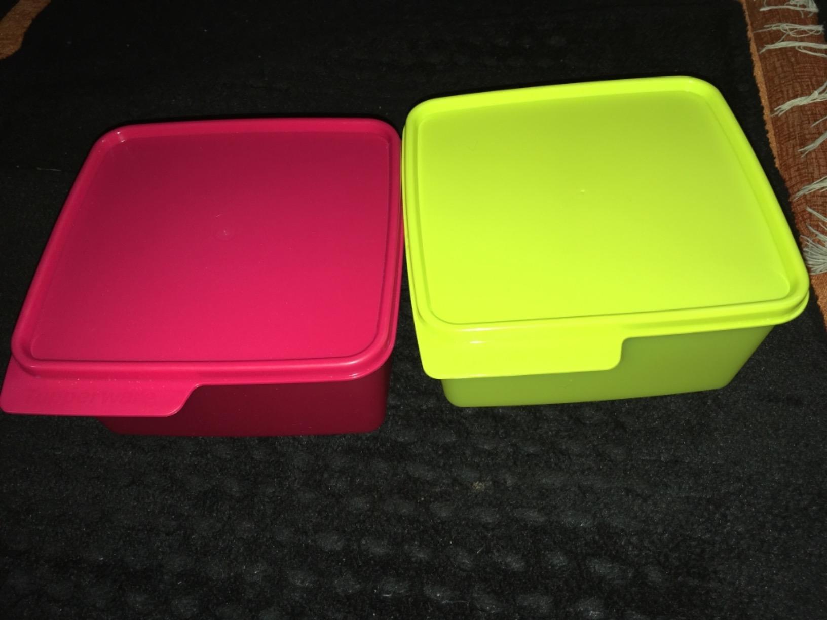 Buy Tupperware Plastic Keep Tab Medium- 12 Ltr, Set of 2 Online at Low ...