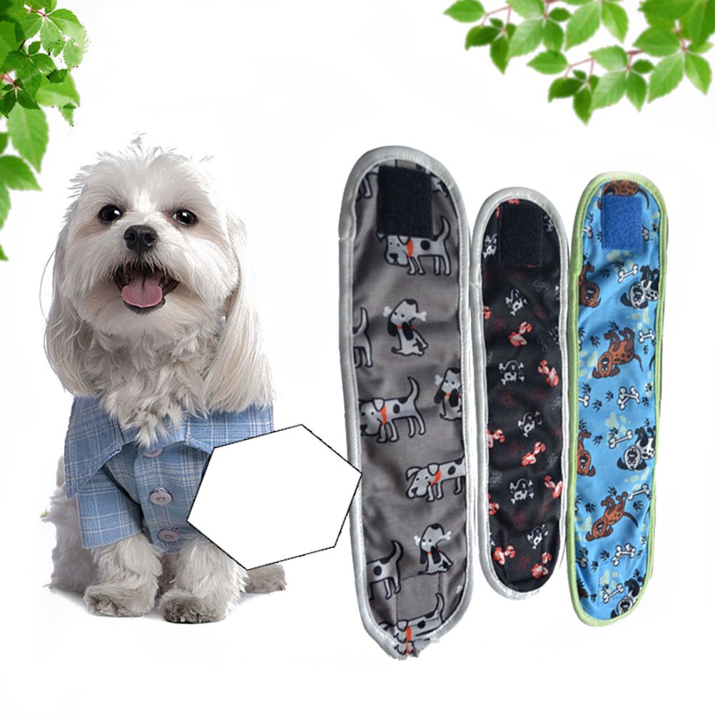 Boy Dog Belly Bands