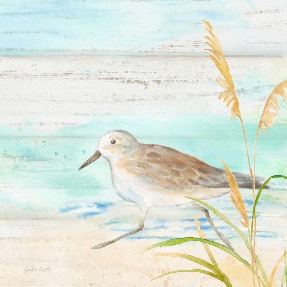 Amazon.com: Sandpiper Beach IV Poster Print by Cynthia Coulter (24 x 24 ...