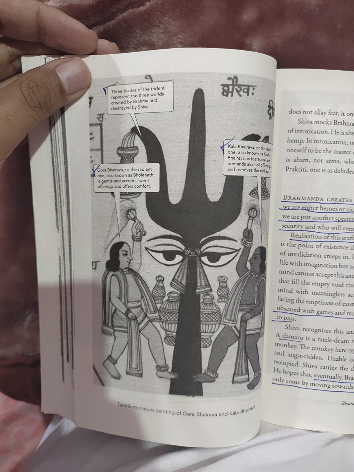 7 Secrets of Shiva : Devdutt Pattanaik: Amazon.in: Books