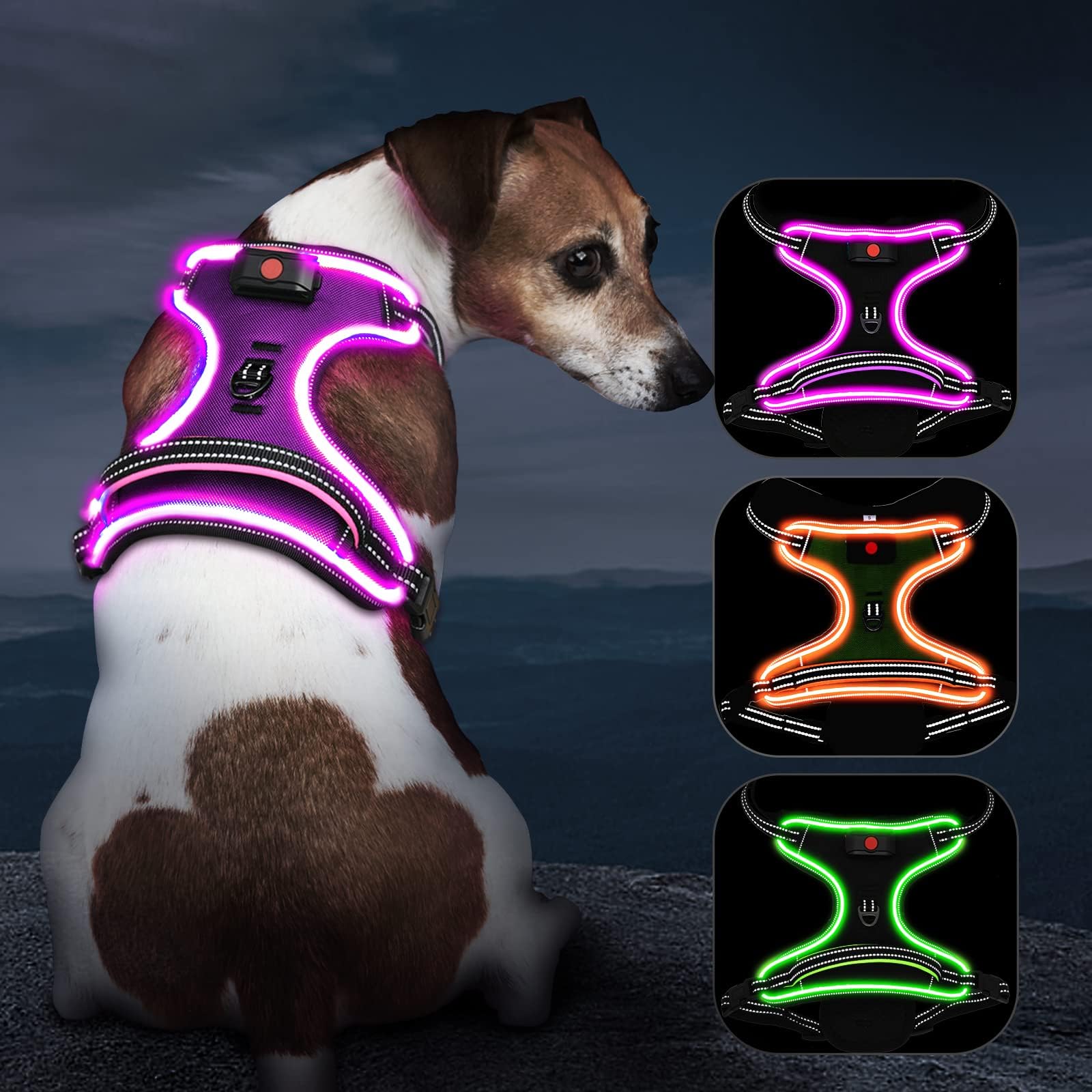 Amazon.com : LED Light Up Dog Harness: Reflective Adjustable Vest with ...