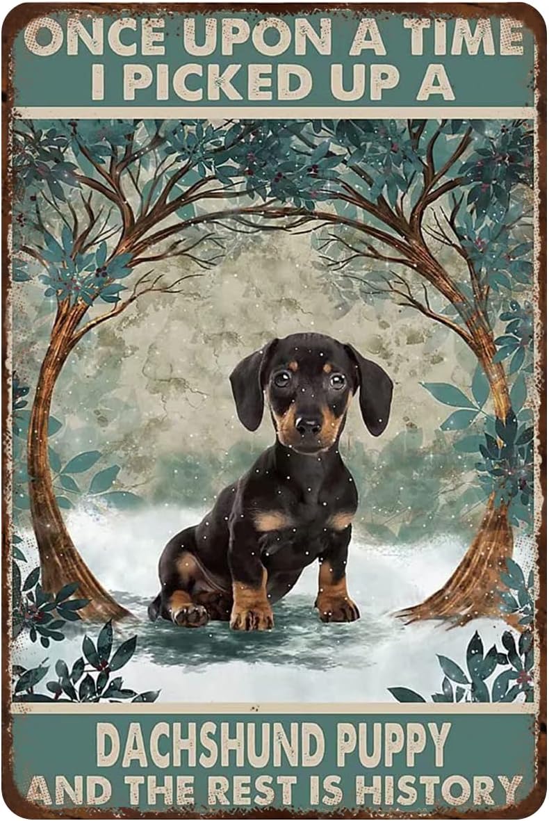 Amazon.com: Retro Metal Tin Sign Dachshund Puppy Metal Tin Signs I ...