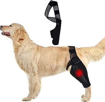 THE WHITE SHOP Dog Leg Brace Hind Legs Protector, Adjustable Protective ...