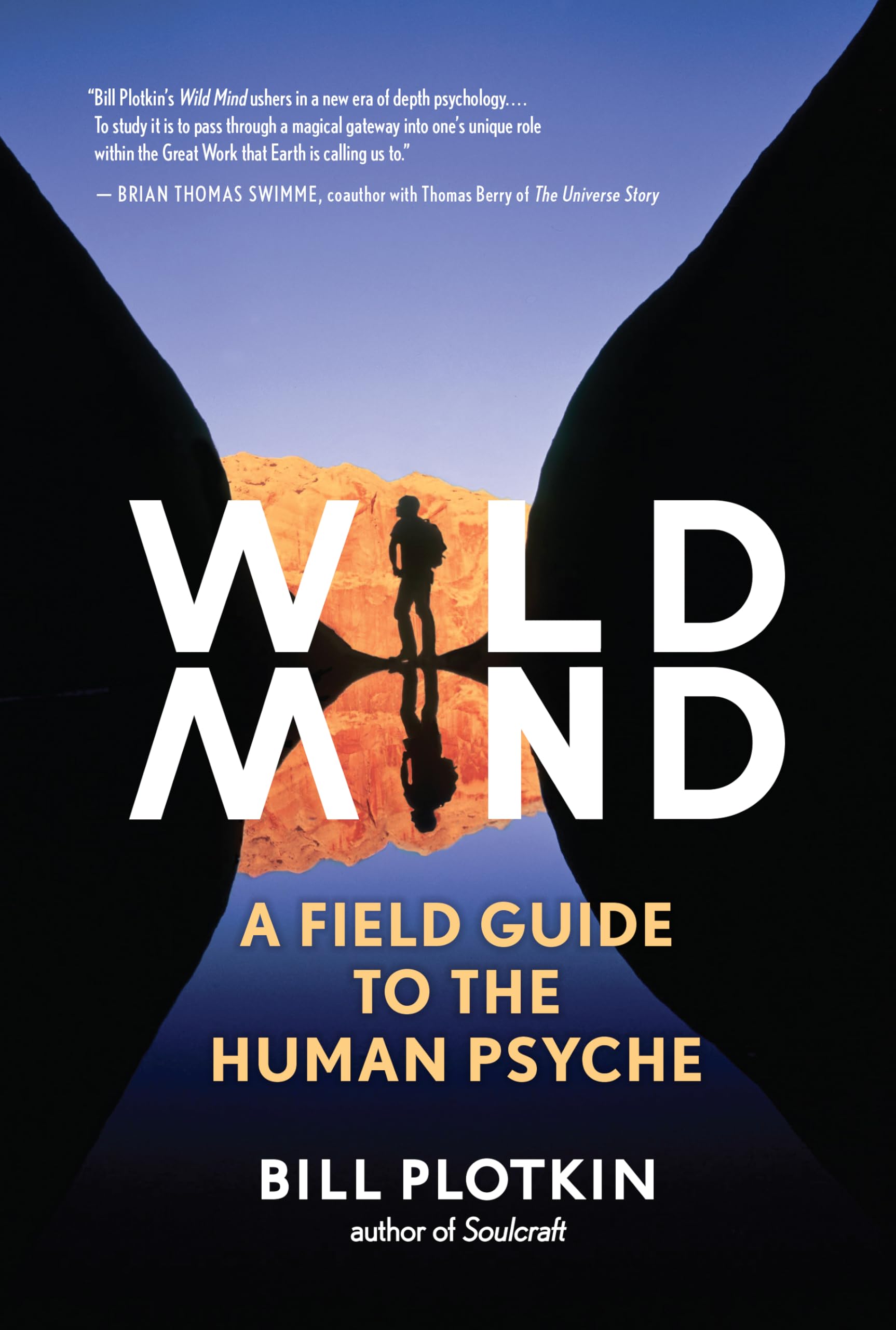 Mapping the Wild Mind: A Field Guide to the Human Psyche: Amazon.co.uk ...
