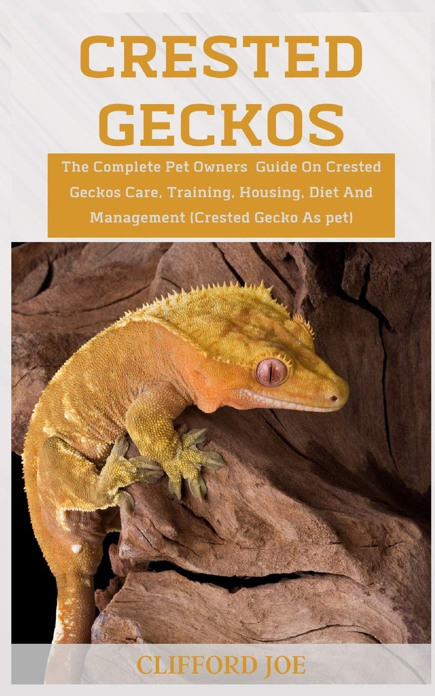 Buy Crested Geckos: The complete pet owners guide on Crested Geckos ...