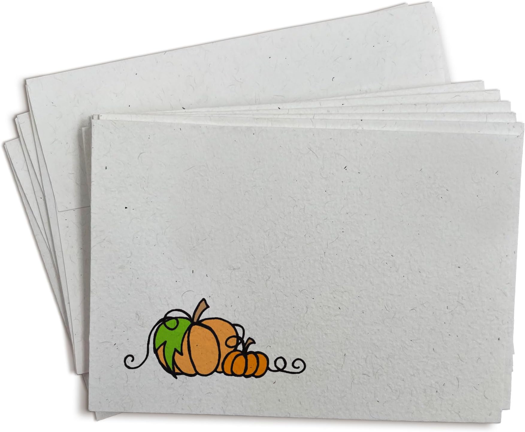 Amazon.com : Note Card Cafe Fall Greeting Cards with Kraft Envelopes ...