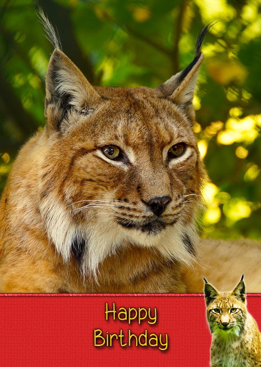 Lynx Birthday Card : Amazon.co.uk: Stationery & Office Supplies