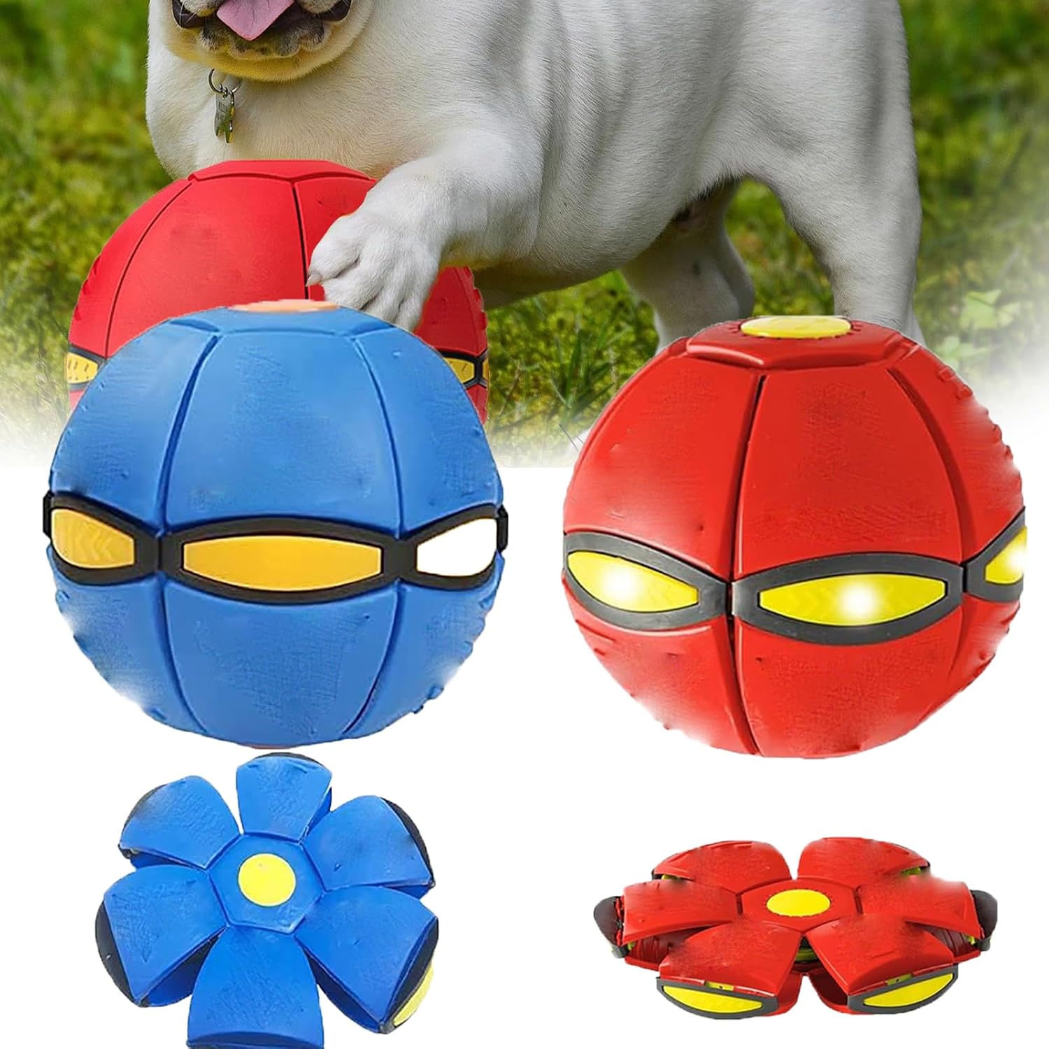 Pet Supplies : NENYLEI Doggy Disc Ball for Large Small Dogs, 2024 New ...