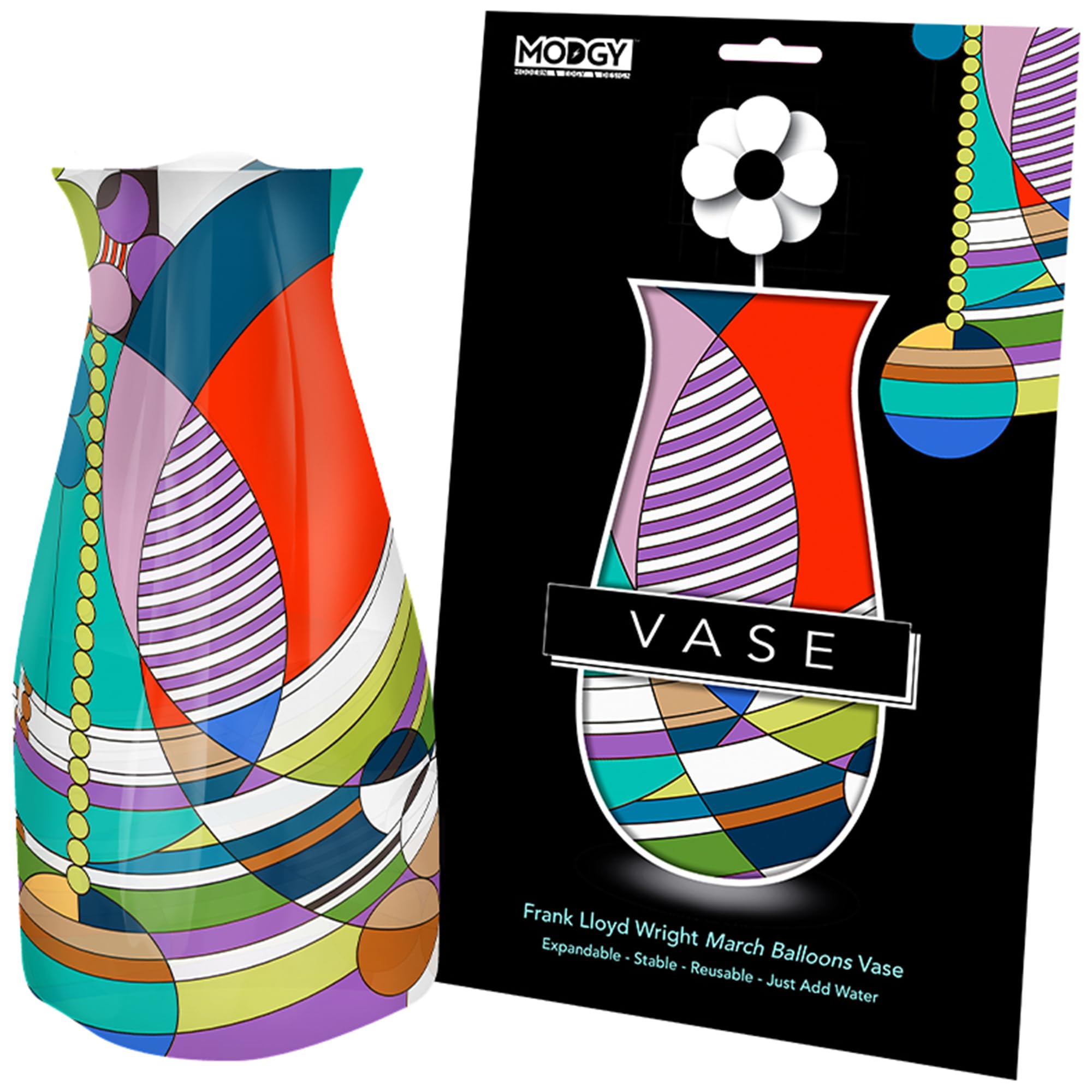 Amazon.com: MODGY Expandable Flower Vase, Plastic Decorative Modern ...