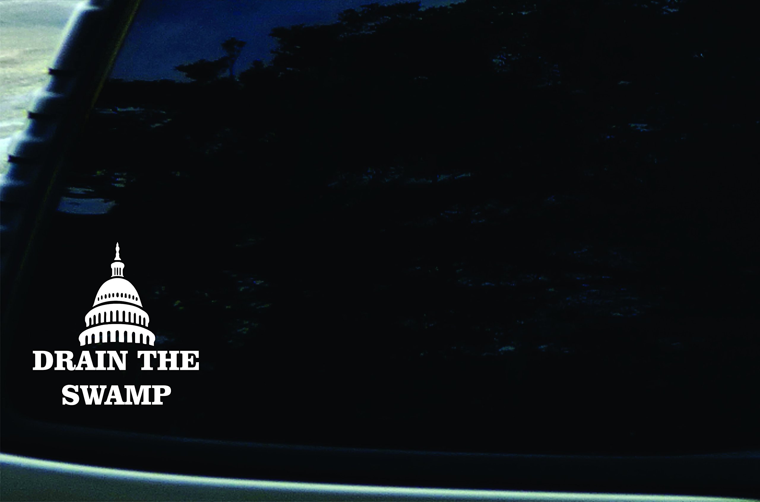 Amazon.com: 4" X 4" Drain the Swamp Vinyl DIE CUT decal for your car ...