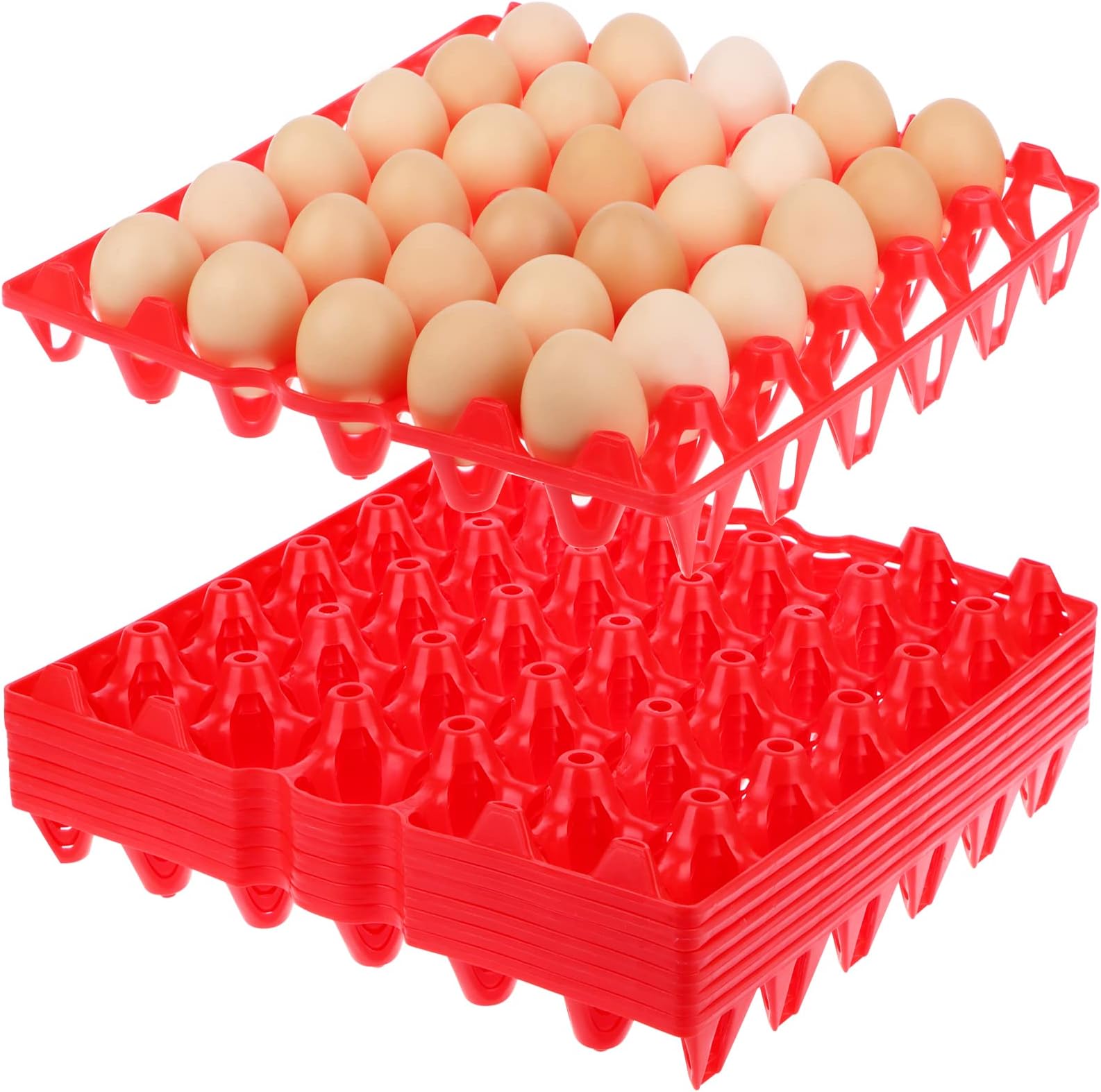 Amazon.com: 6 Pack Plastic Egg Trays, Each Holds 30 Eggs(#1) for Home ...