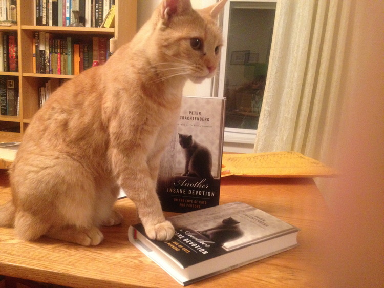 Amazon.com: Peter Trachtenberg: books, biography, latest update