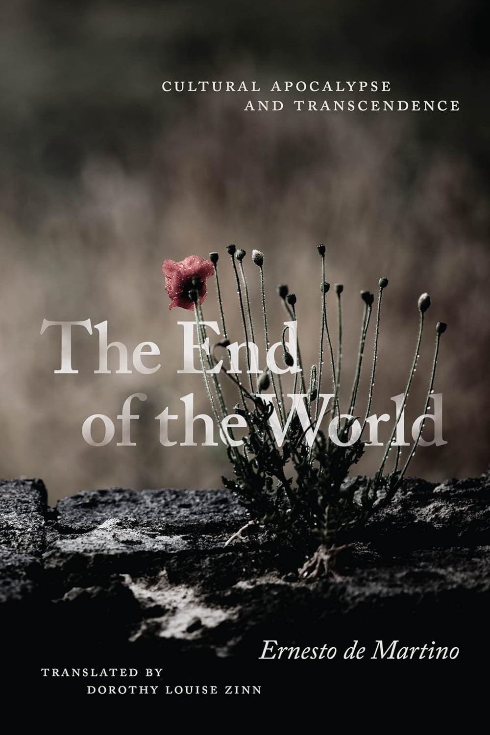 The End of the World: Cultural Apocalypse and Transcendence: de Martino ...
