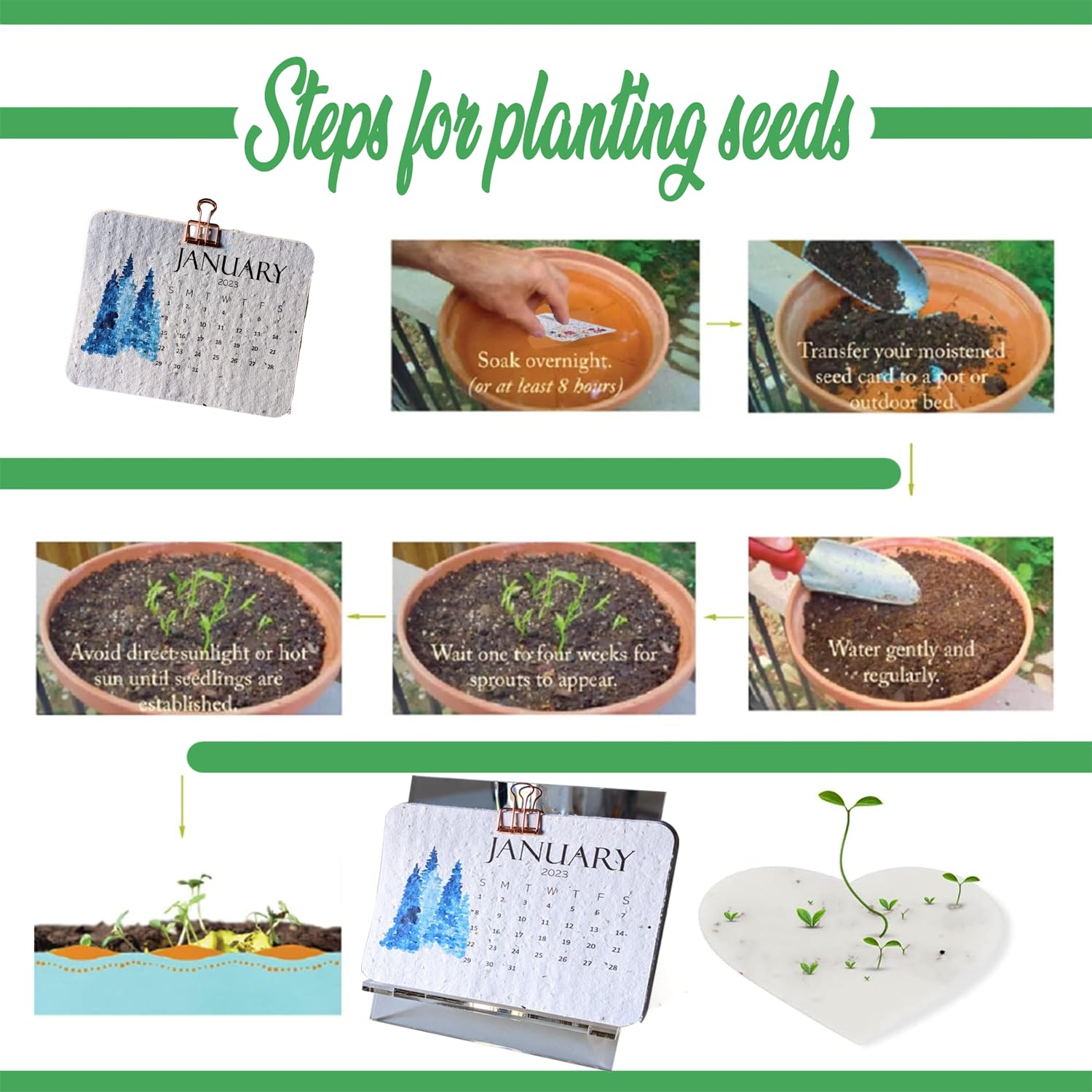 Snapklik.com : 2025 Plantable Seed Calendar Perfect Modern Greening ...
