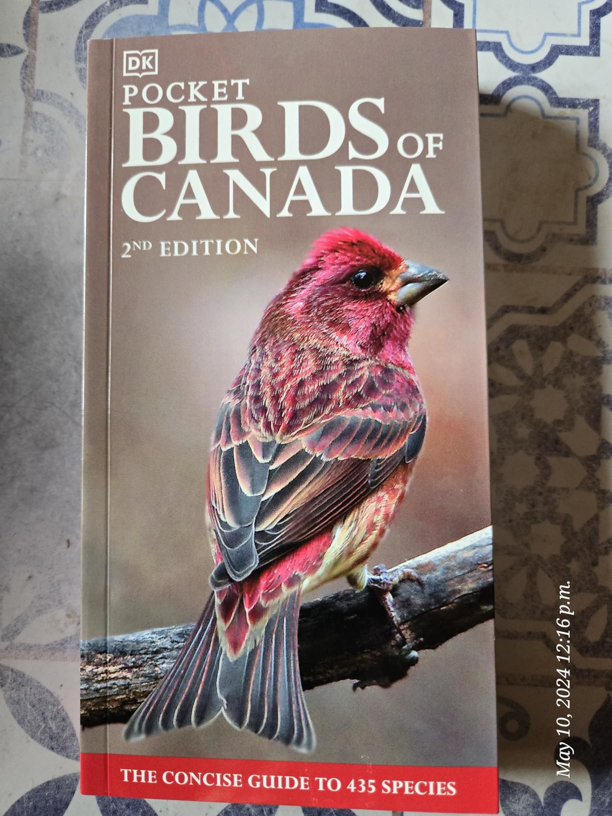 Pocket Birds of Canada 2nd Edition: DK, Bird, David: 9781553633051 ...