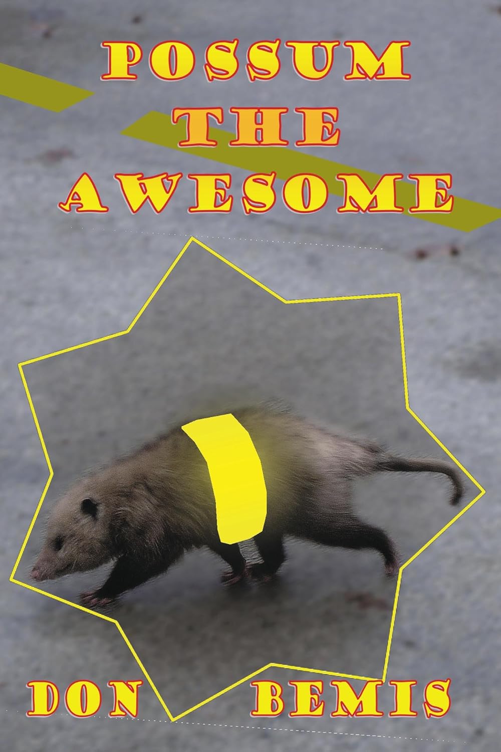 Amazon.com: Possum the Awesome eBook : Bemis, Don, Bemis, Lois: Kindle ...