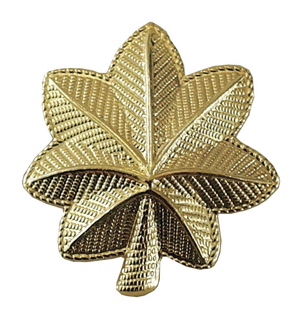Amazon.com: Metal Rank Insignia, Maj. Leaf, Gold, PR : Clothing, Shoes ...
