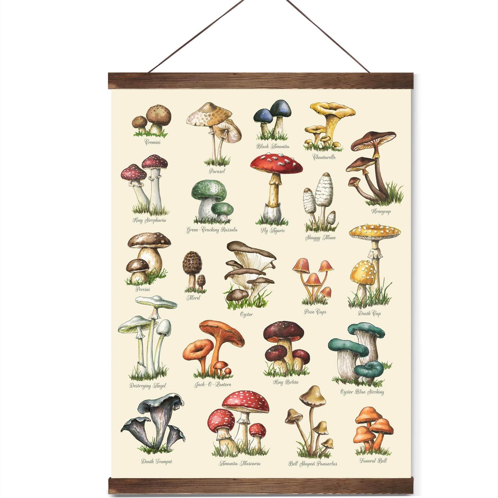 Snapklik.com : Vintage Mushroom Posters Wall Art Decor, Plant Posters ...