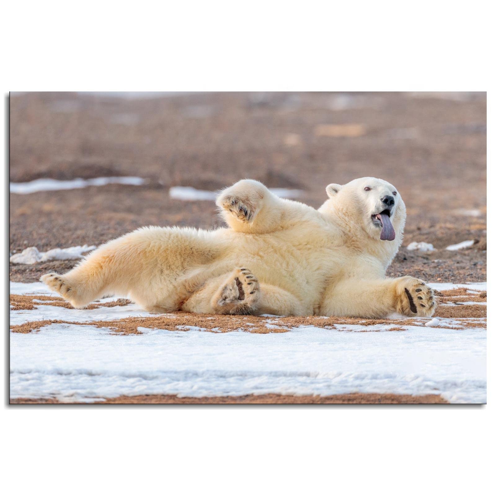 Smiling Polar Bear