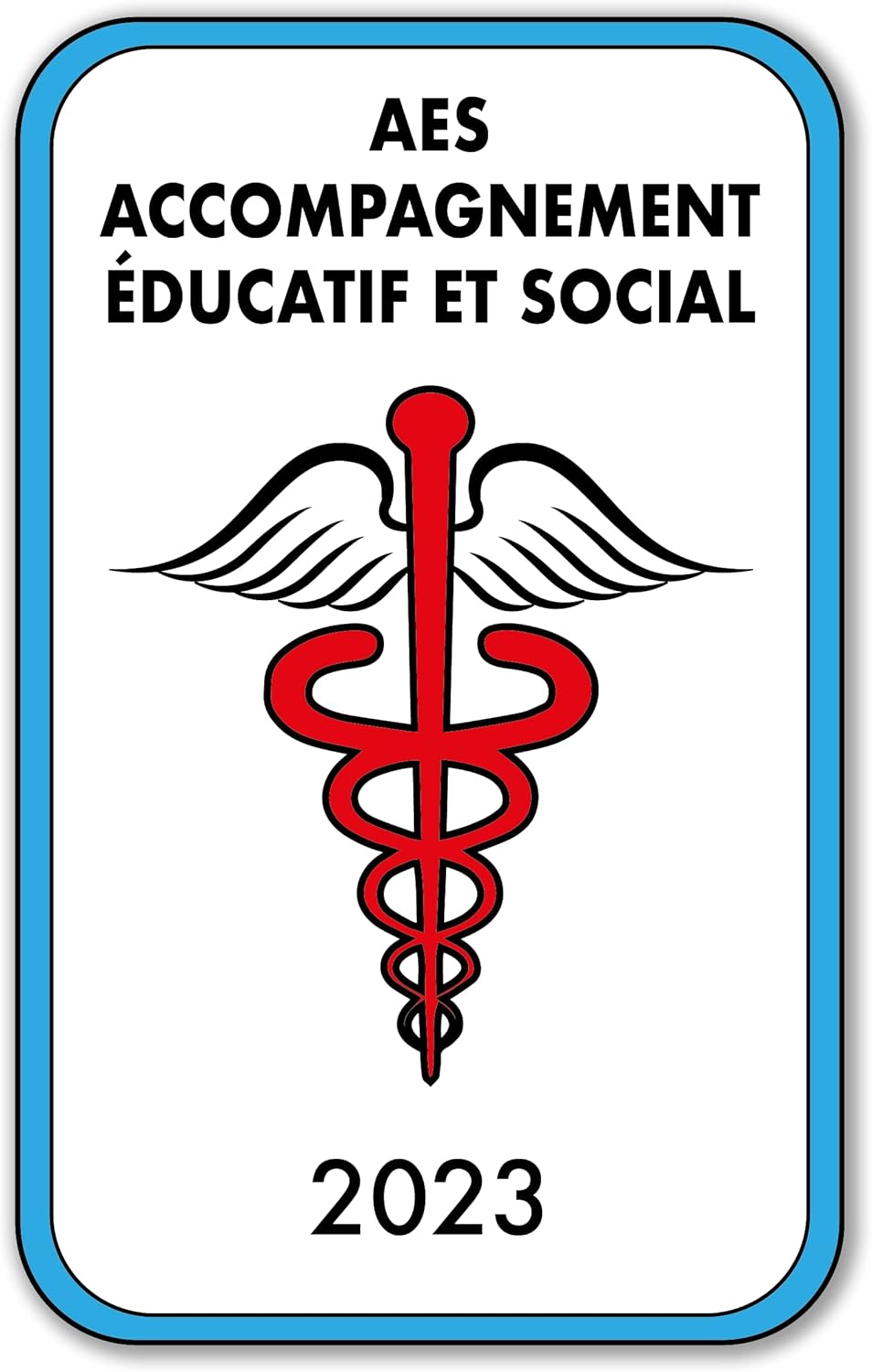 Amazon.fr : SIGNAL SAFETY Autocollant Sticker - Vignette Caducée 2023 ...