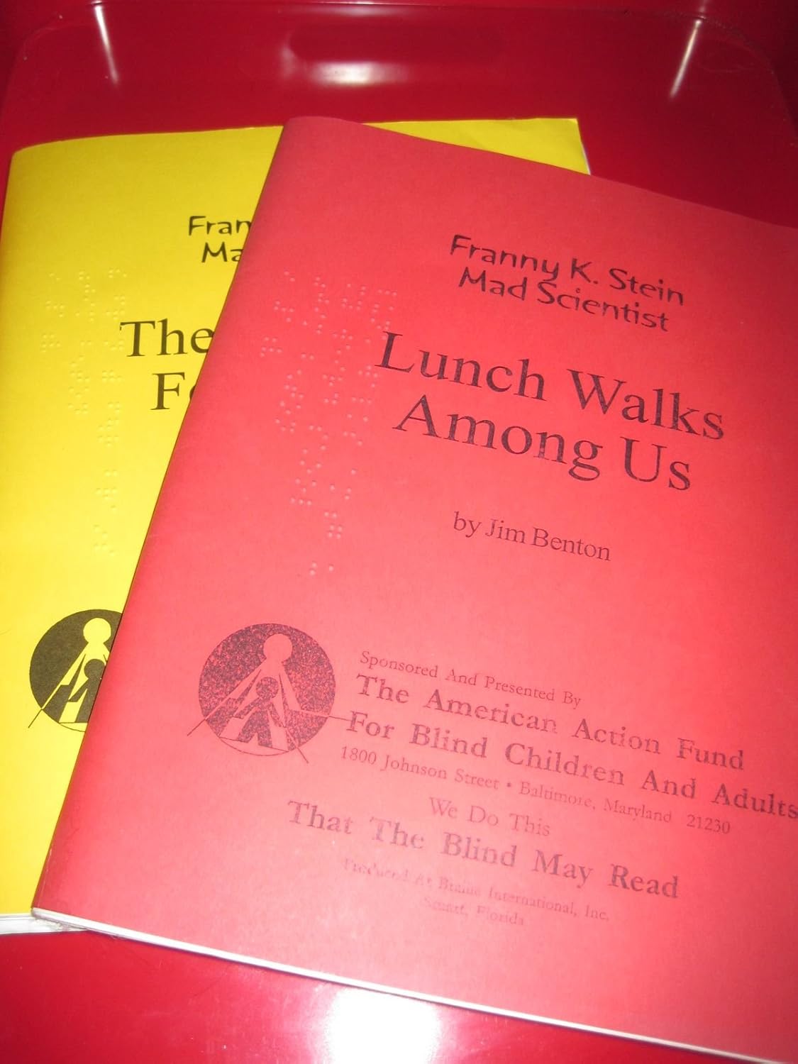 Lot (2) Franny K. Stein Mad Scientist books in BRAILLE (Lunch Walks ...